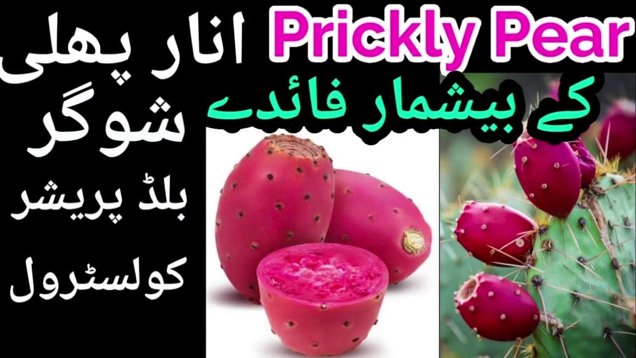 prickly pear | anaar phali ke faidey | annar phali | annar kali ...