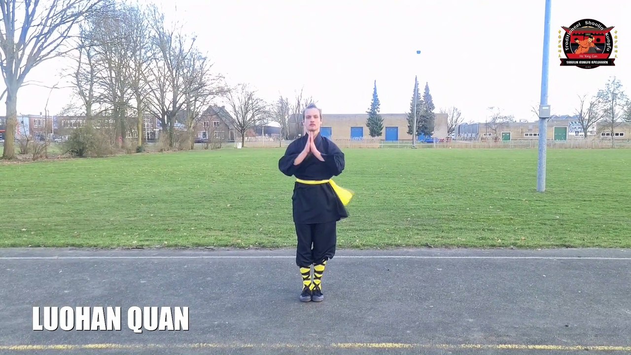 Martial Arts: Luohan Quan - Lohan Quan Arhat Fist of Shaolin Kungfu ...