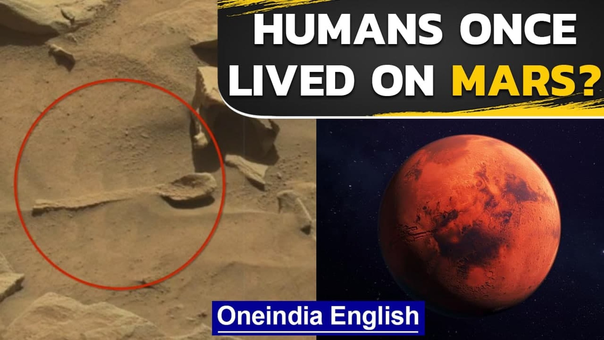 In Humans To Mars