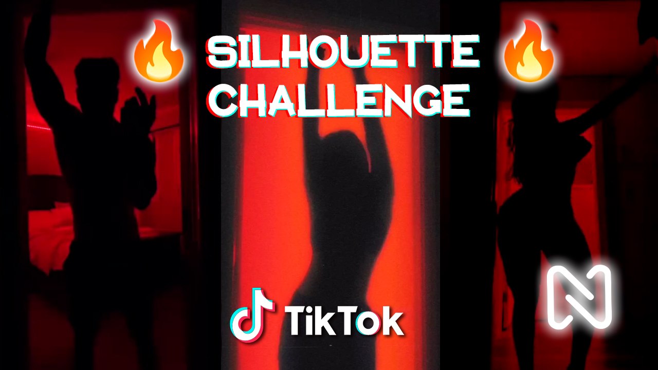 SILHOUETTE CHALLENGE - TikTok Recopilación Abril 2021 - Vídeo Dailymotion