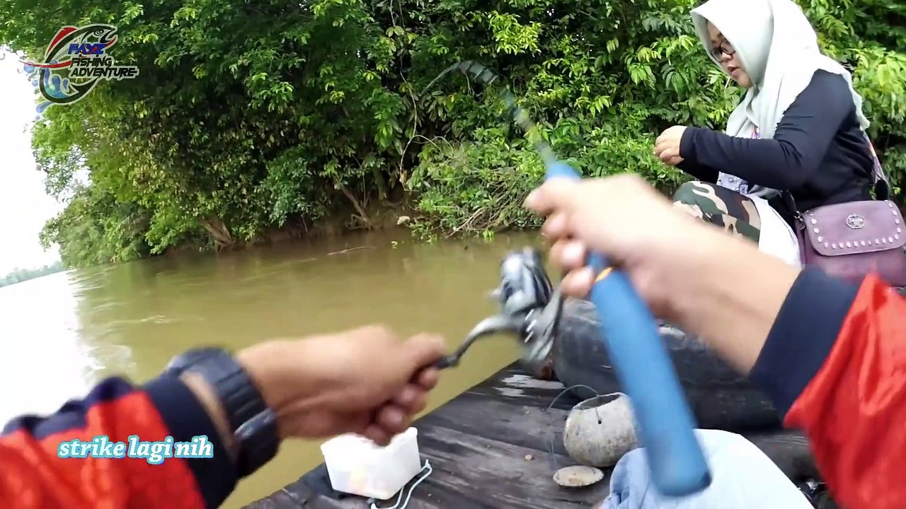 MANCING IKAN SILI_BEROD_TILAN ikan ini BIKIN HISTERIS KAUM HAWA #53 ...