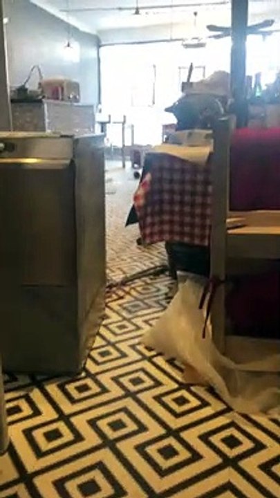 A look around the Tony Piccante in Grove Road - video Dailymotion