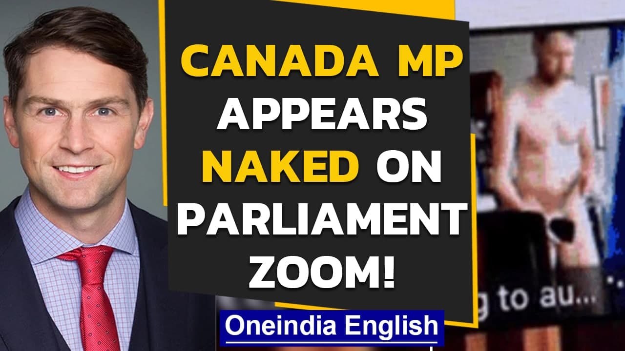 Canadian MP William Amos apologises after appearing naked on a ...