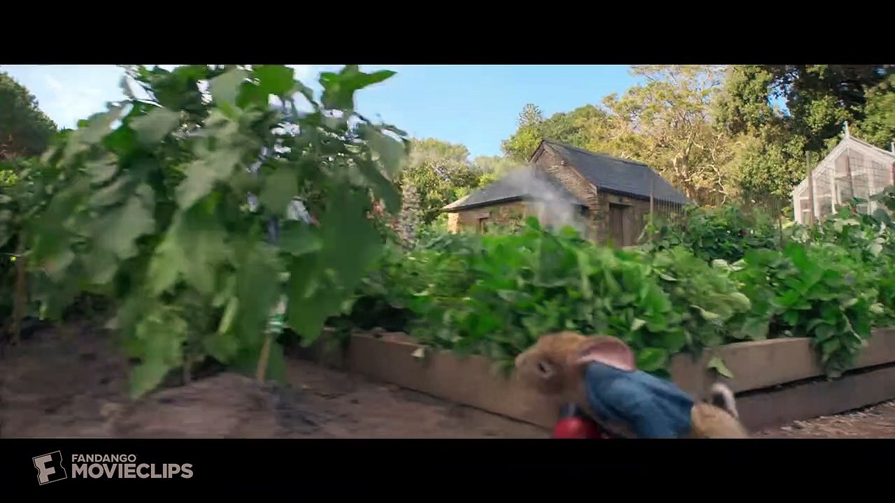 Peter Rabbit (2018) - Playing With Fire Scene (8/10) | Movieclips ...