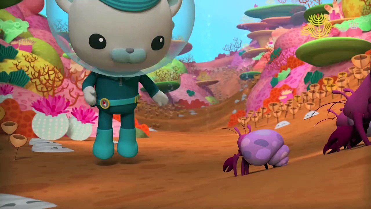 Octonauts - A Very Dangerous Frog | Triple Special | Cartoons For Kids ...