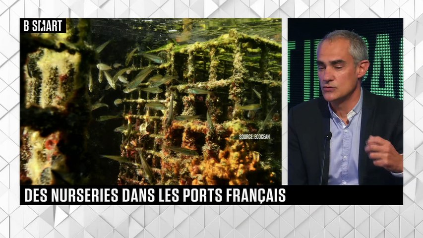 SMART IMPACT - Ecocean veut protéger la biodiversité marine avec ses ...