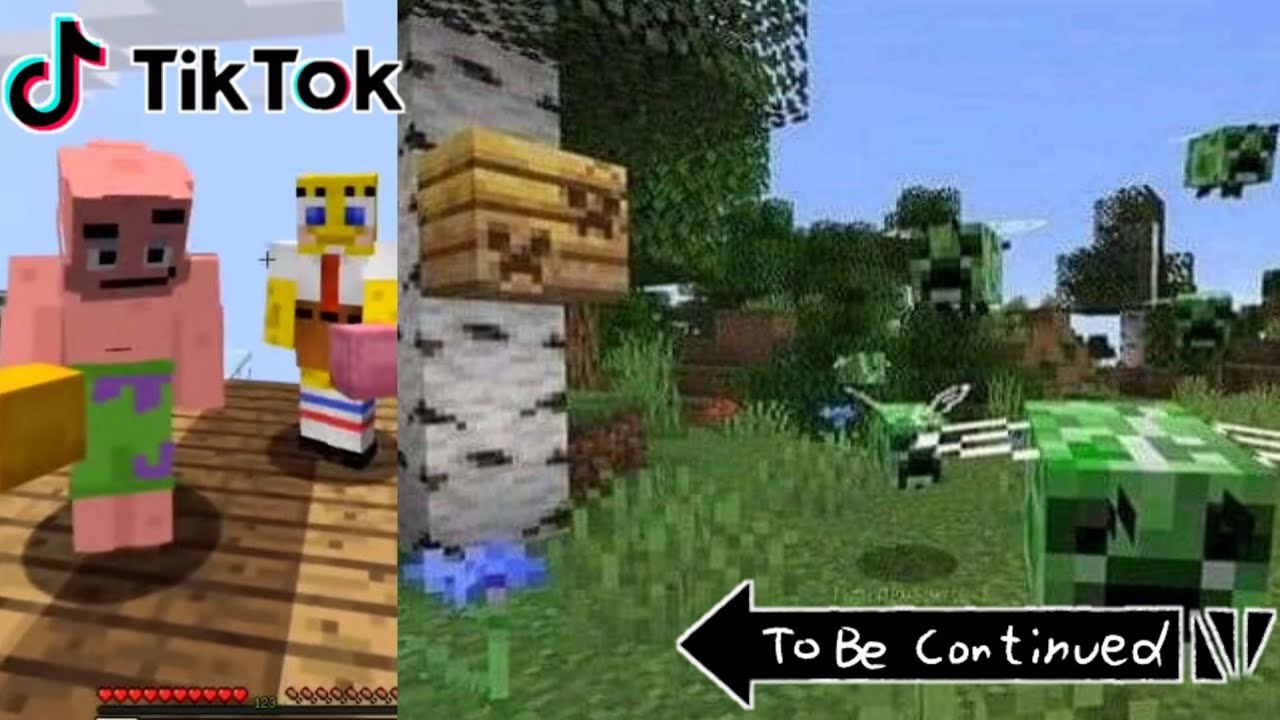 TIK TOK + MINECRAFT MEMES COMPILATION...[#17] - video Dailymotion