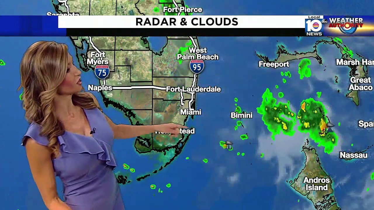 Julie Durda on WPLG Local 10 (02/06/2021) - Vidéo Dailymotion