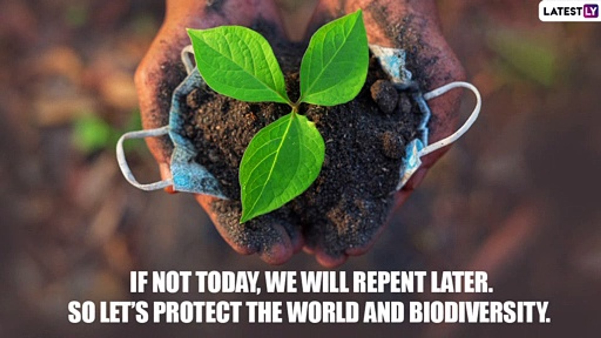 World Environment Day 2021 Images Vishwa Paryavaran Diwas Hd