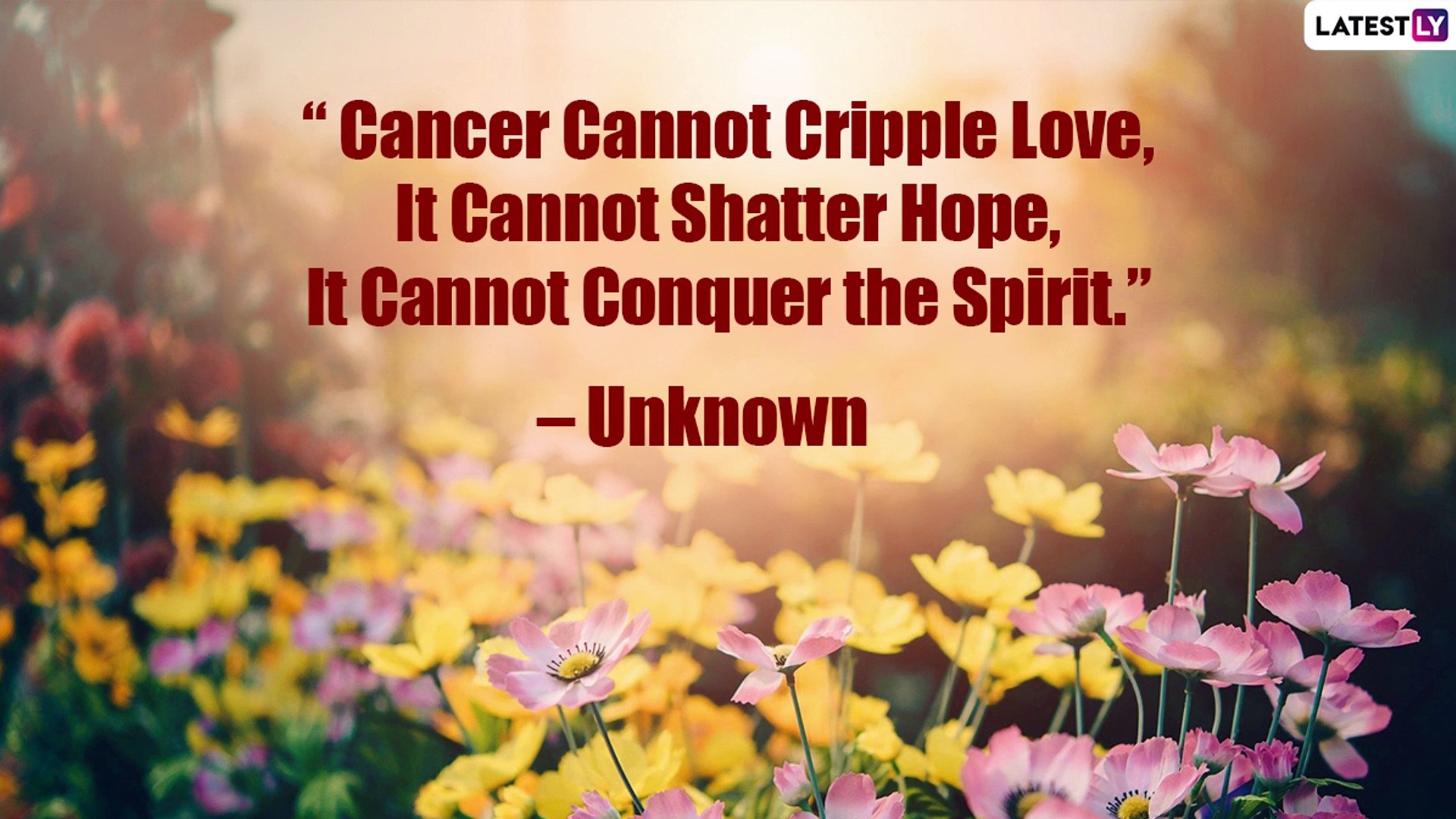 Rise Above Cancer Quotes