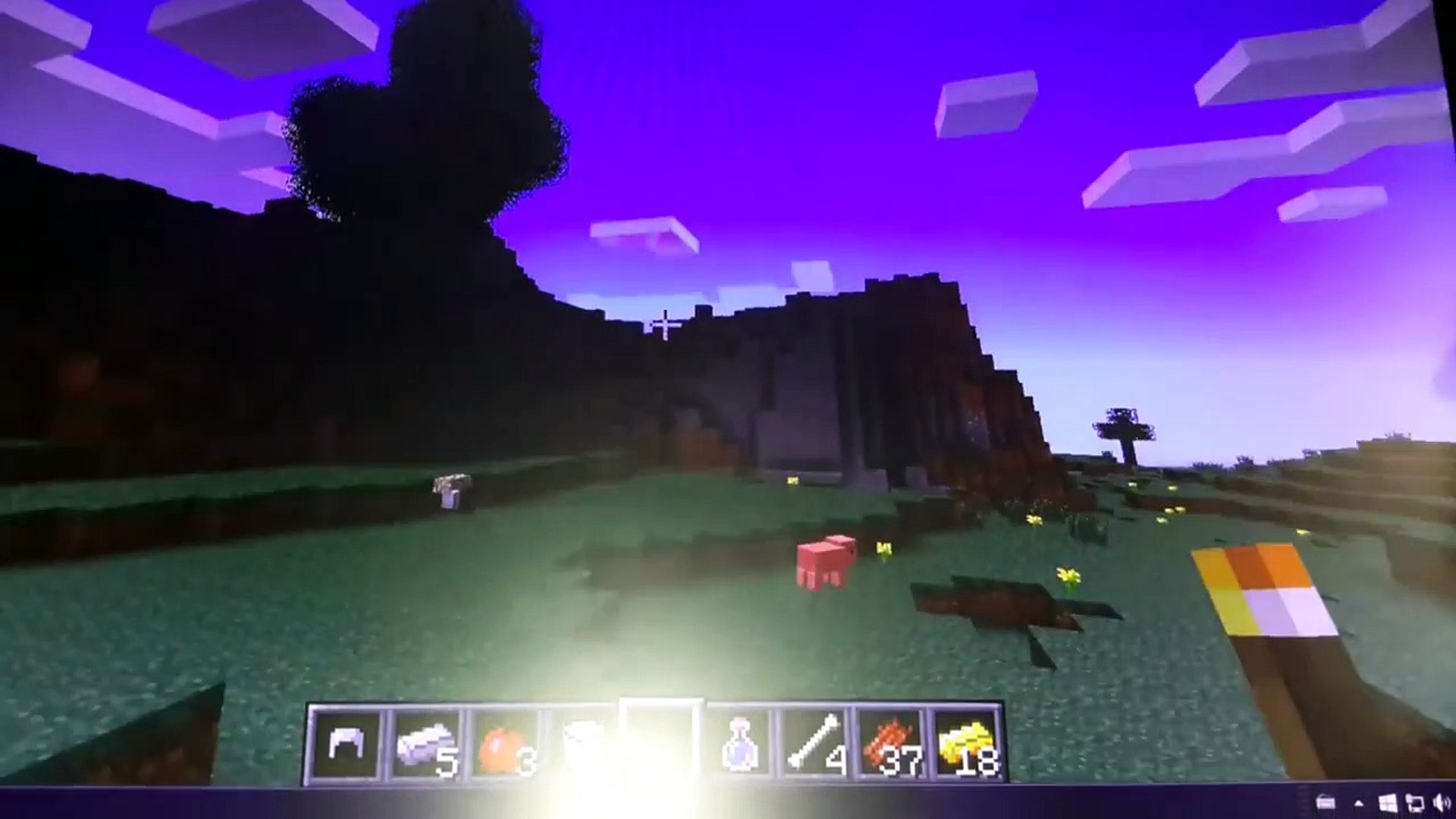Funny Minecraft Glitches