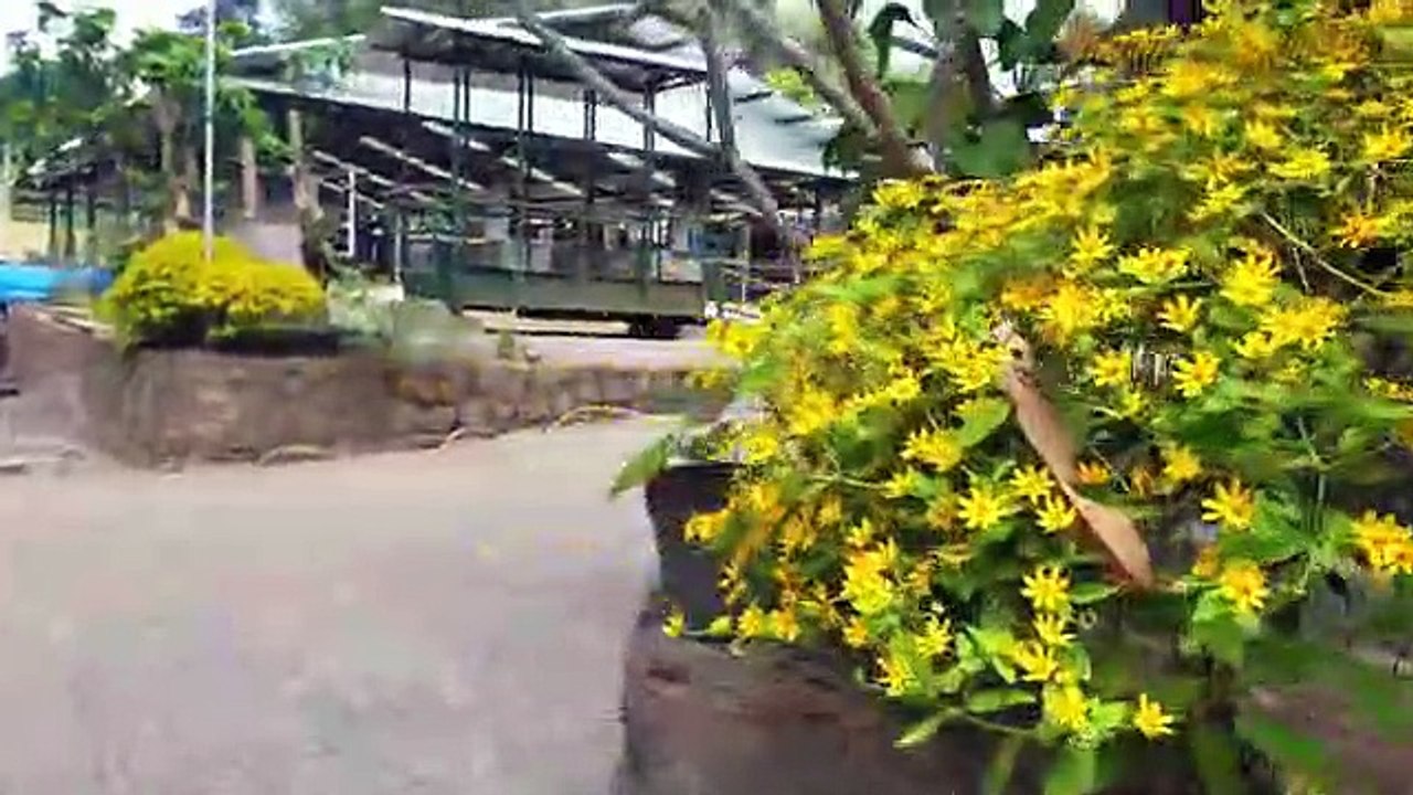 38 Ekor Sapi Super Jumbo Siap Qurban Di Kandang Sapi Modern Impian ...