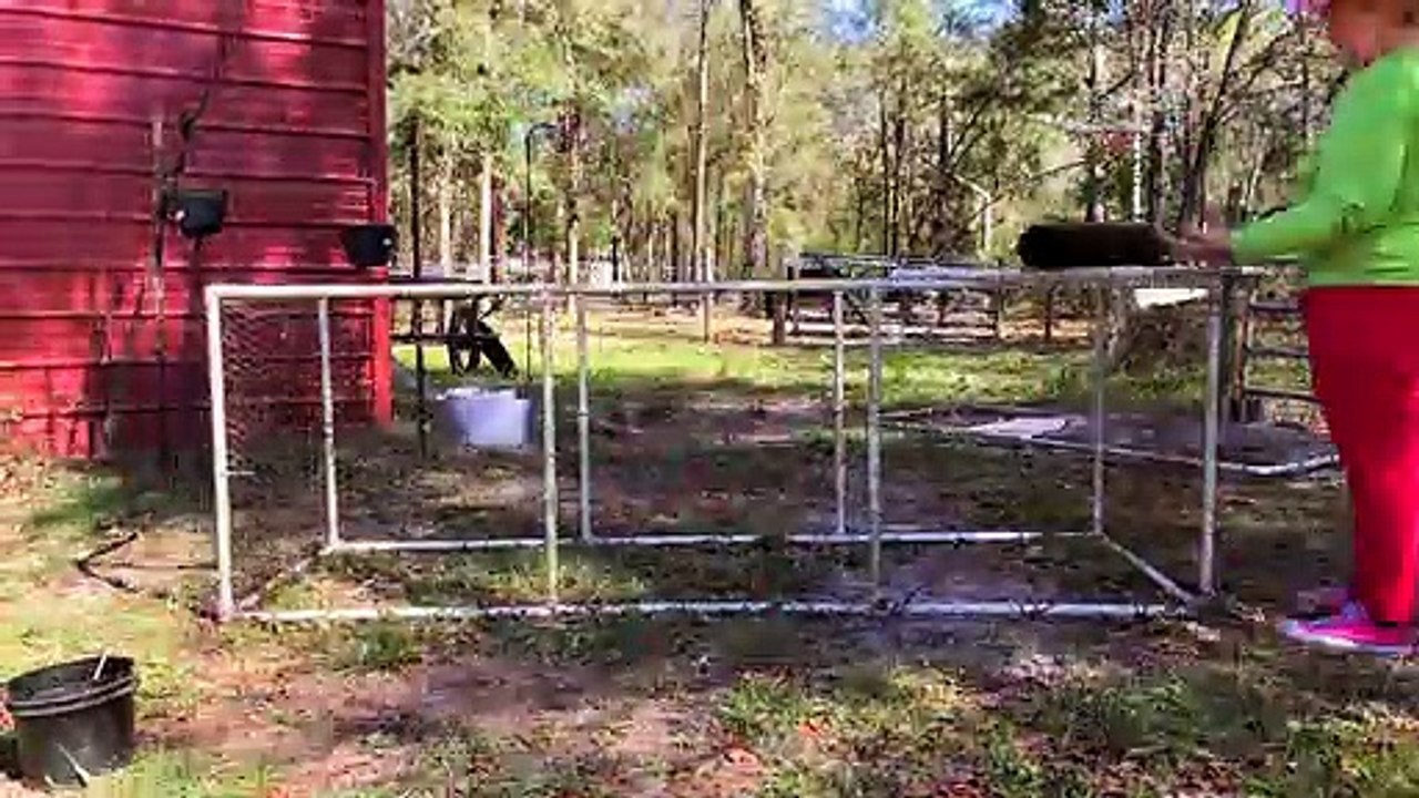 My Pvc Diy Chicken Coop Design - Never Rots - Easy To Build - video ...