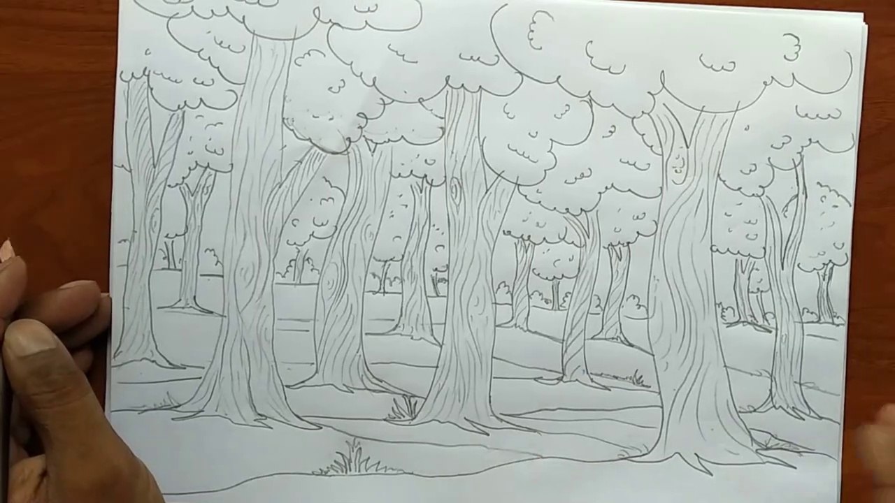 How to draw forest scene Step by step | Forest drawing for beginner ...