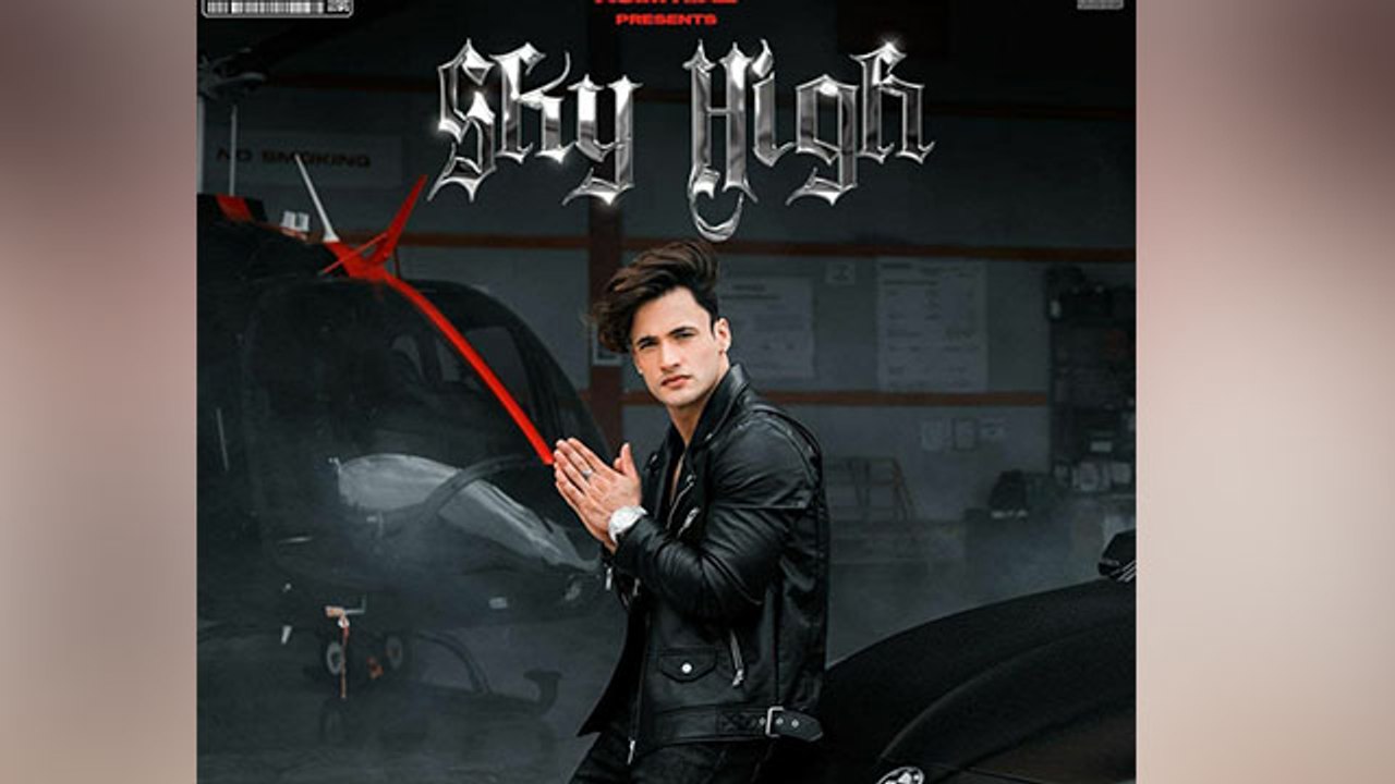 Varun Dhawan को आया Asim Riaz का गाना Sky High पसंद, किया Insta पर like ...