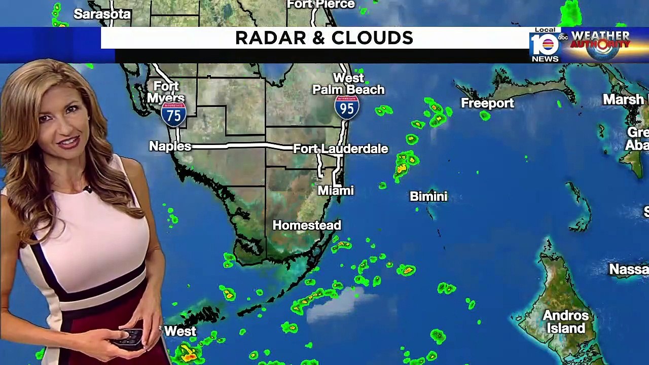 Julie Durda on WPLG Local 10 (20/07/2021) - Vidéo Dailymotion
