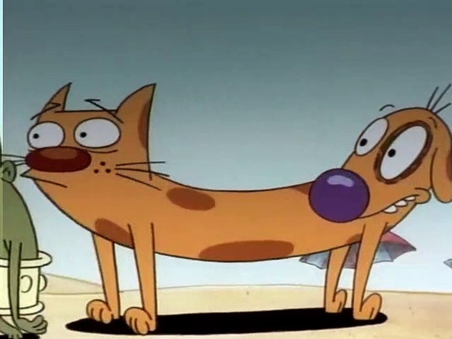 Catdog Cartoon
