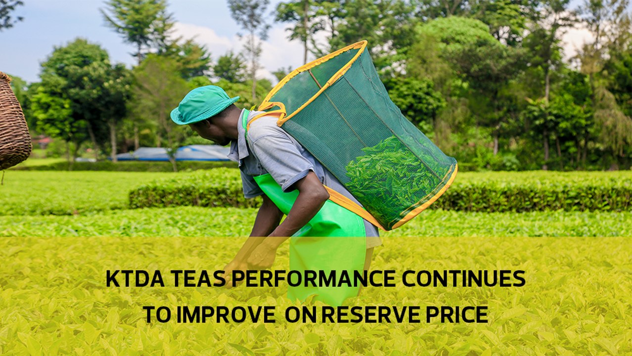 KTDA teas performance continues to improve on reserve price - video ...
