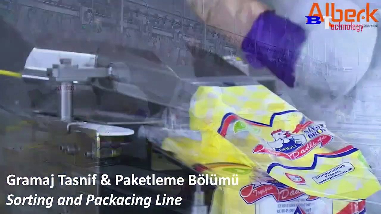 Amazing modern chicken catching machine, Breeding Process Chicken ...