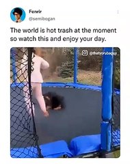 Animals by Gidi Buzz - Dailymotion