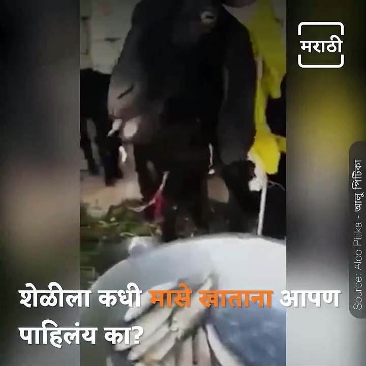 Surprising Video of Goat Eating Fish - video Dailymotion