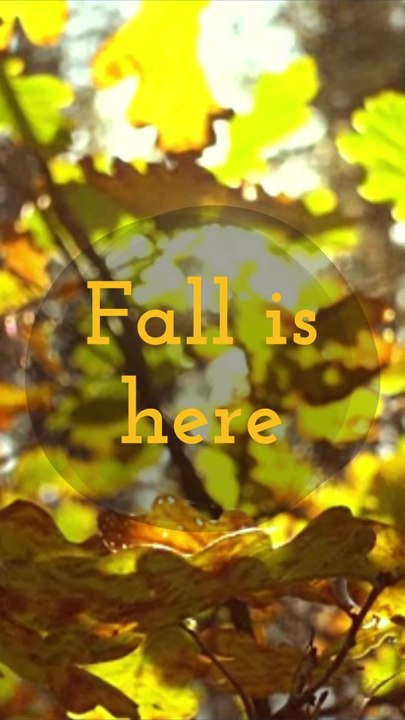Fall Vacation - video Dailymotion