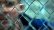 Prison Break S01E02 - Allen - video Dailymotion