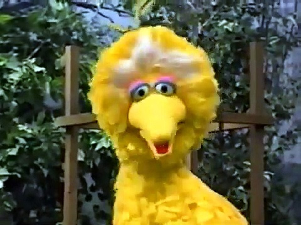 Sesame Street - Big Bird Sings (1995 VHS) - video Dailymotion