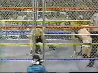 Classic ECW by Jason Sampson - Dailymotion