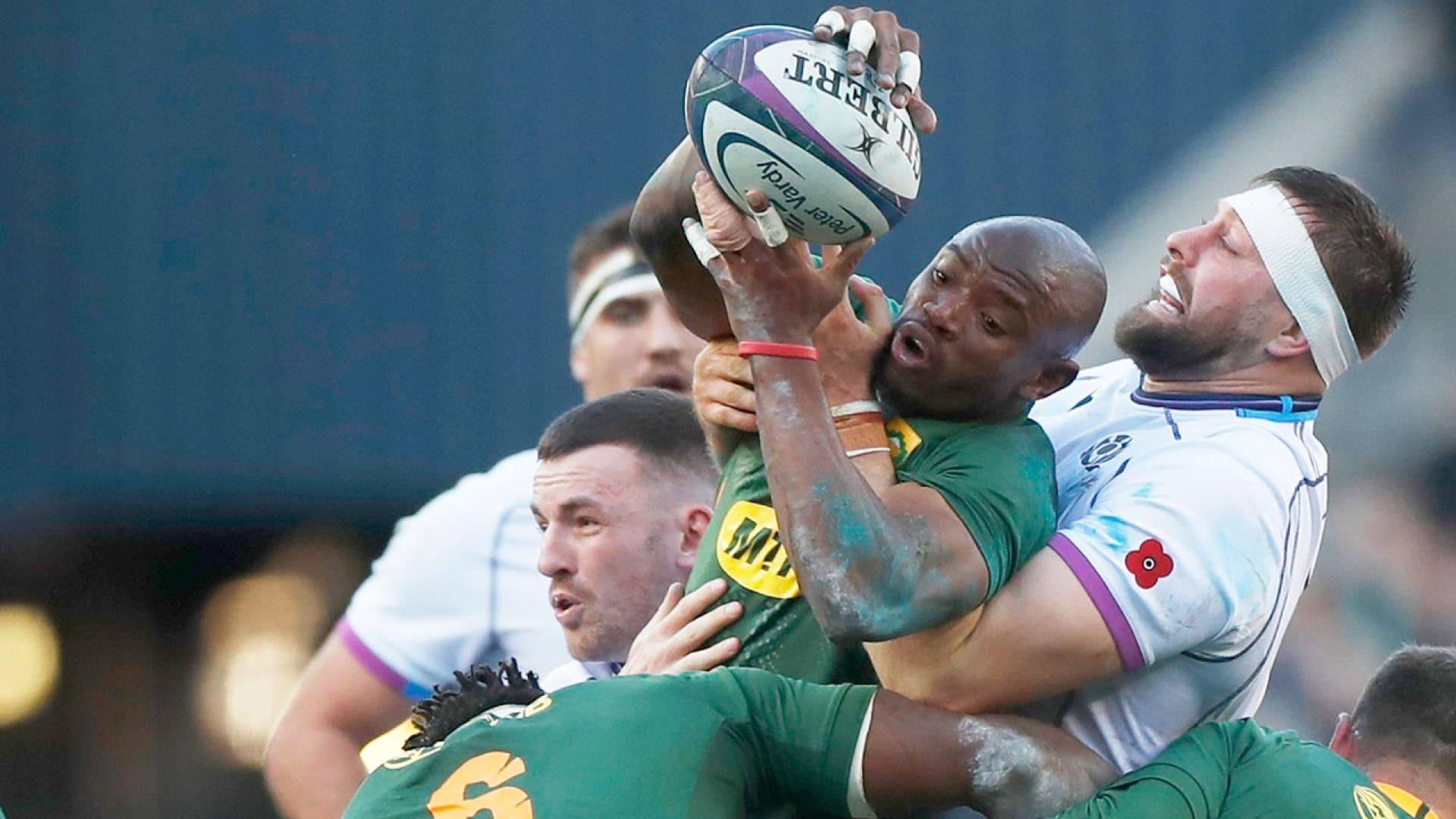 Scotland v South Africa | beIN SPORTS