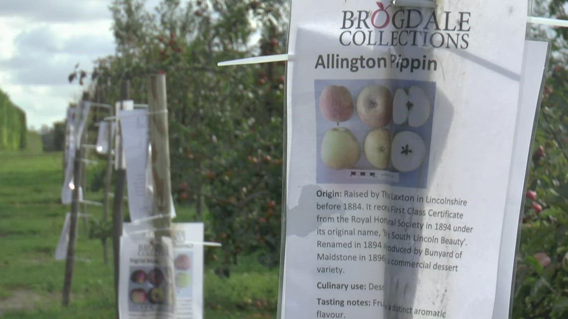 Made in Kent - Brogdale Collections