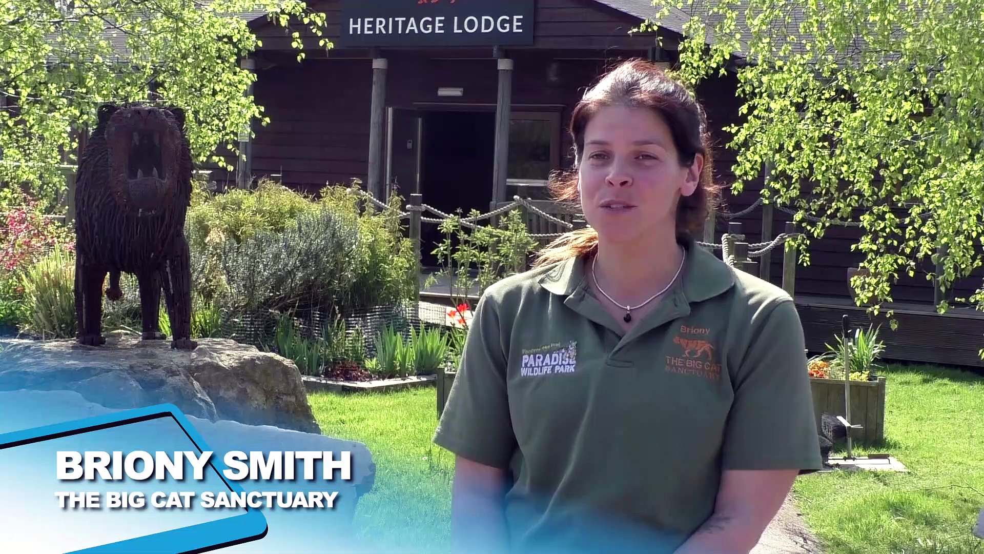 Kent's Big Cat Sanctuary speaks out after being wrongly associated with ...