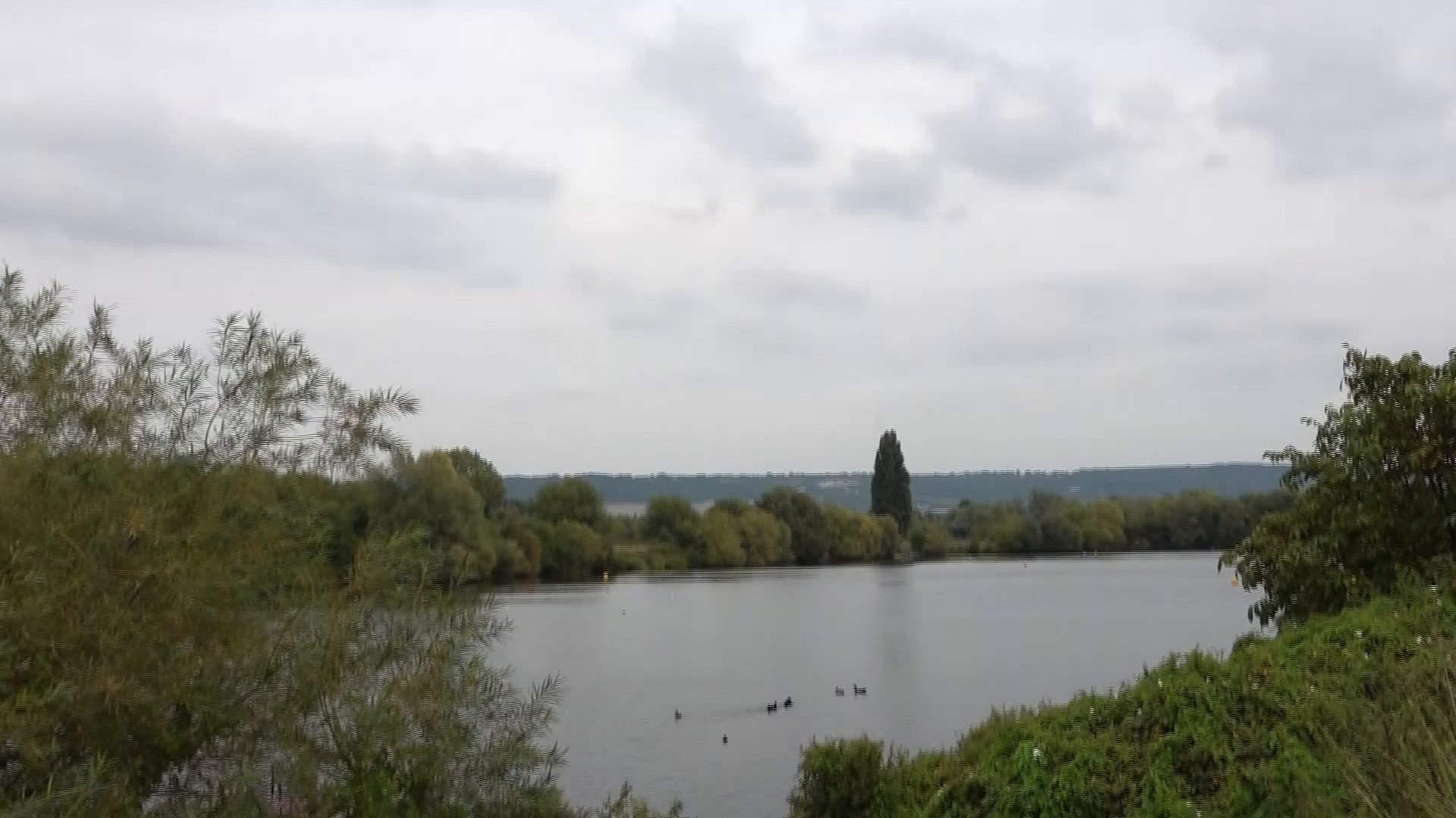 Leybourne Lakes Country Park up for national award