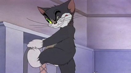 Tom and Jerry Series by Dailymotion Cartoon Area by Cartoon Area ...