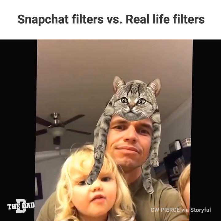 Cat Filters - video Dailymotion