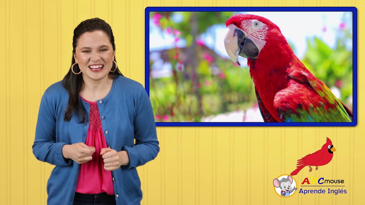 ABC Mouse - Pets and Bugs (Mascotas e Insectos) #01 - Vídeo Dailymotion