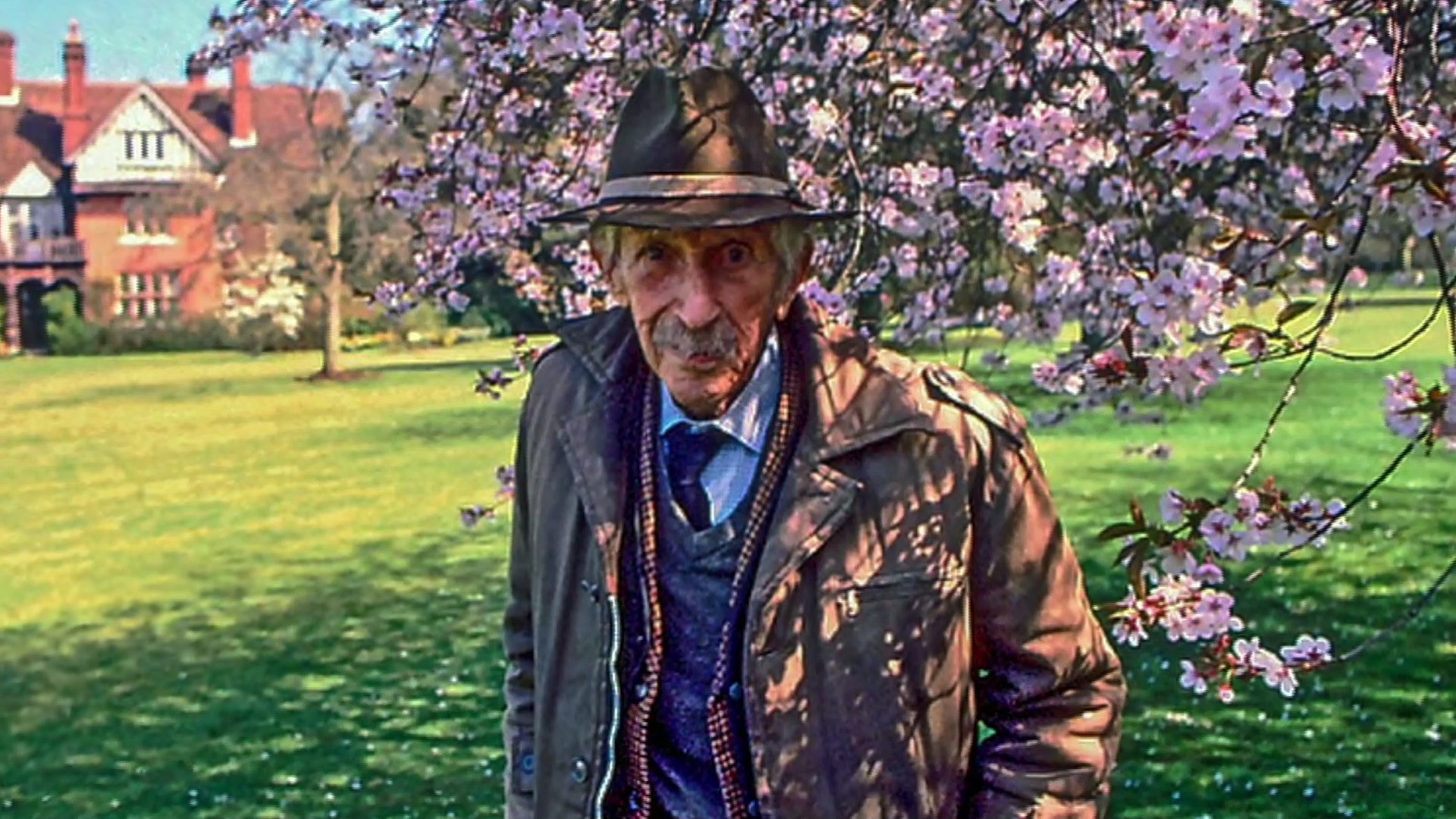 Kent's cherry blossom history rediscovered