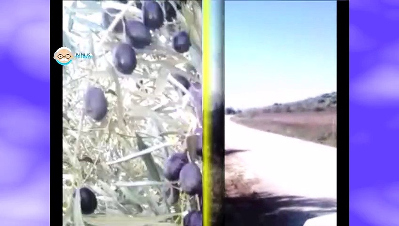 Τι με κυτας που τραγουδω - ti me koitas pou tragoudo. Ηλιας ...