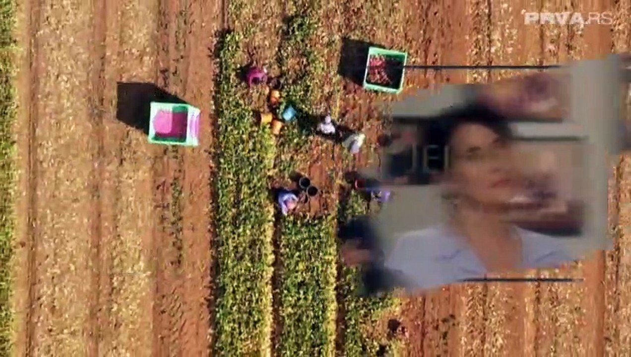 Kolo srece - 98 epizoda NOVO - video Dailymotion