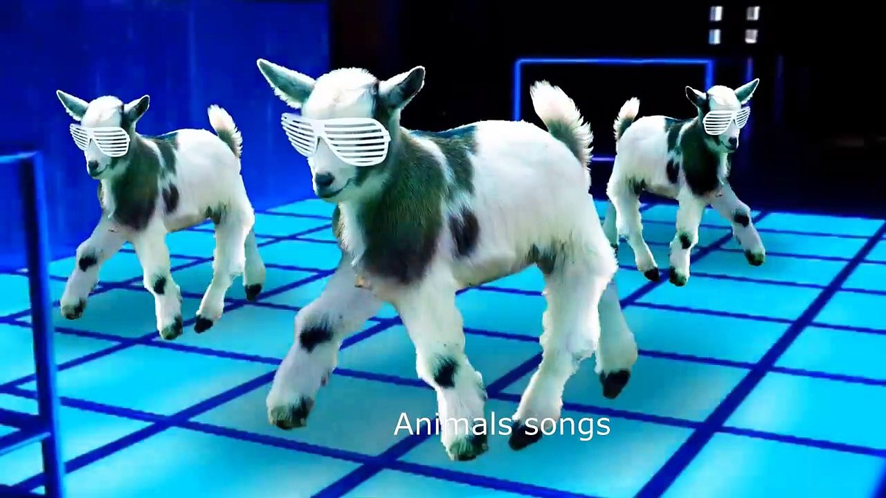 Goat | Goat Song And Dance - video Dailymotion
