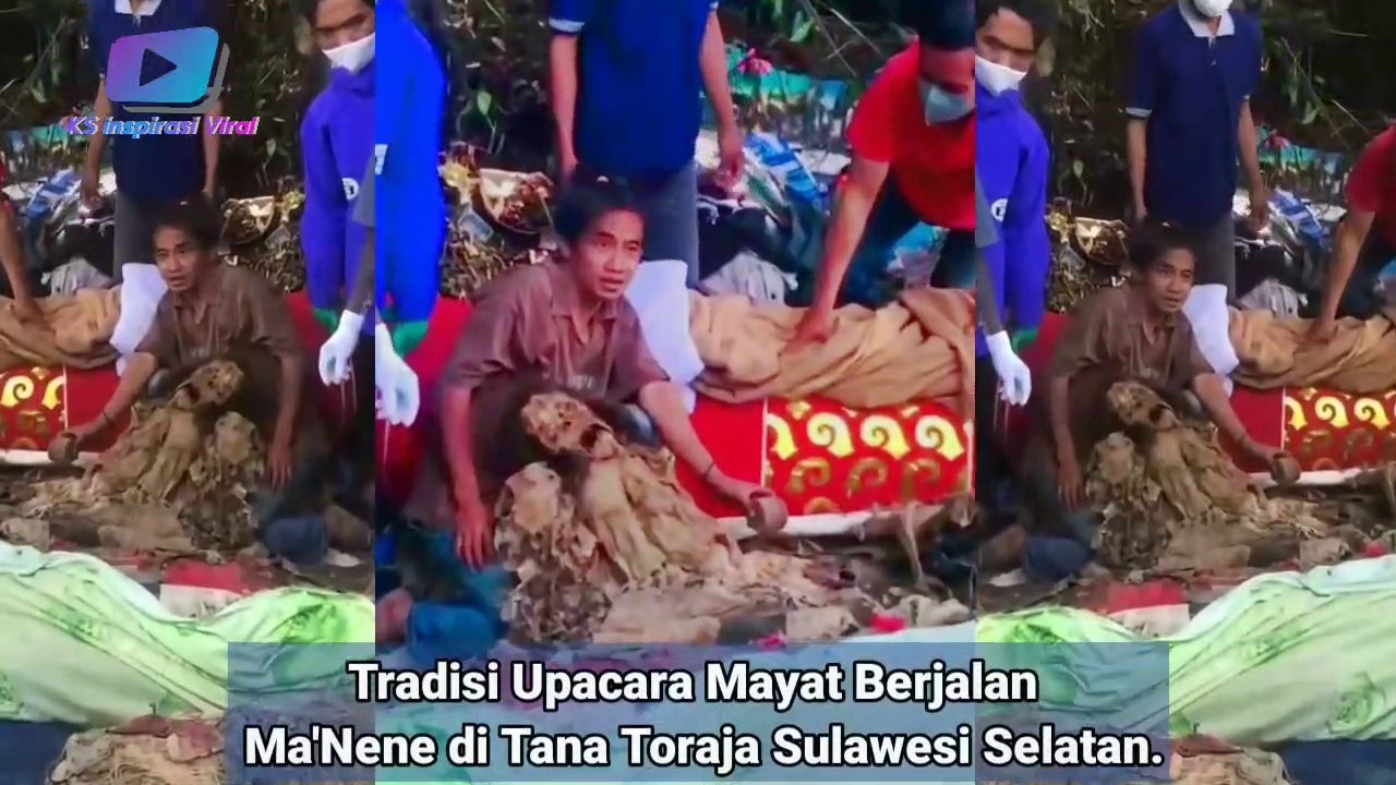 Mayat Berjalan Tradisi Ma'nene Suku Toraja Sulawesi - video Dailymotion