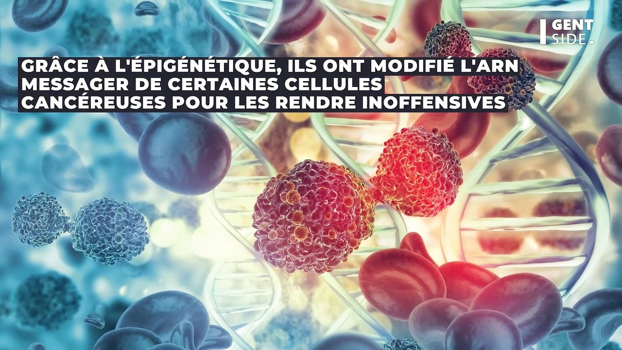 Les chercheurs ont trouvé comment transformer des cellules cancéreuses ...