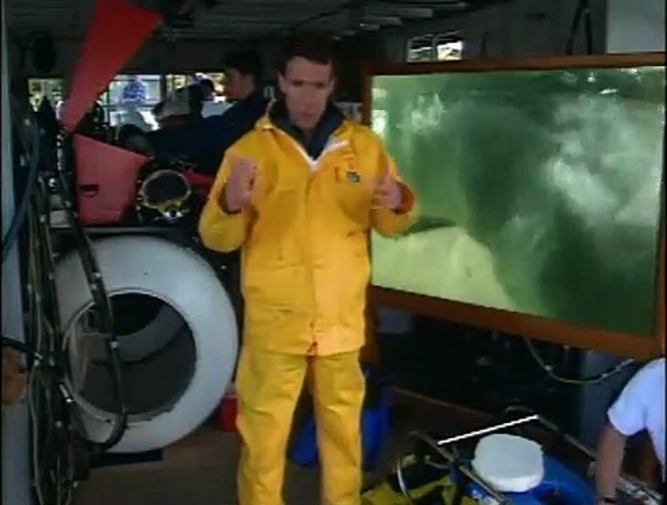Bill Nye - The Science Guy - S04 - E03 - Marine Mammals - video Dailymotion