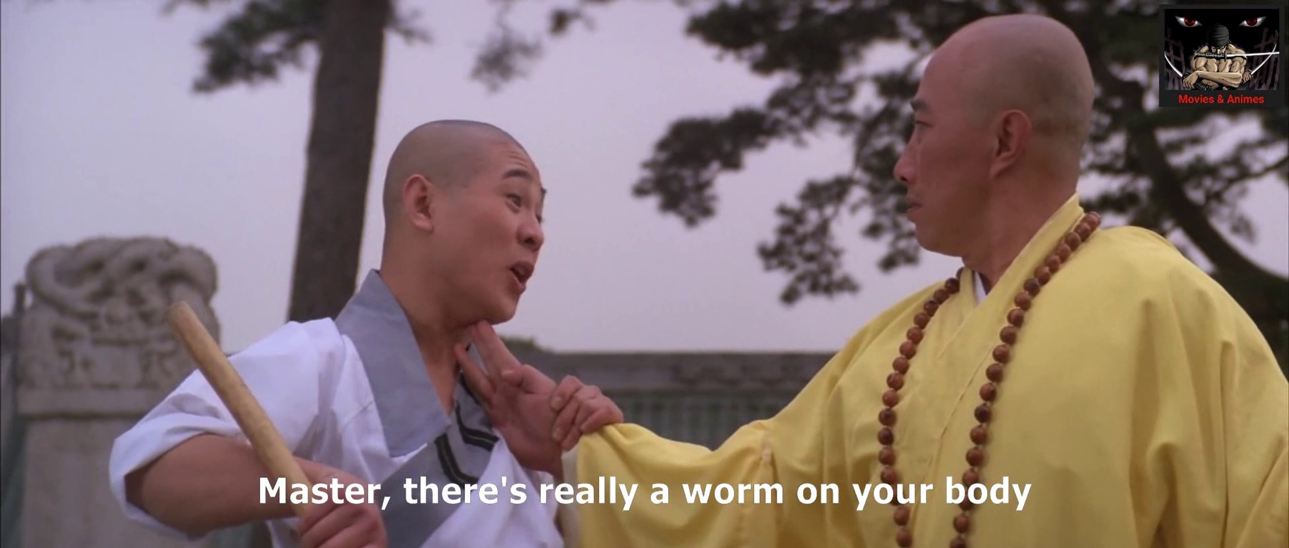 Shaolin Temple Jet Li