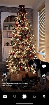 Dailymotion Design Team videos - Dailymotion