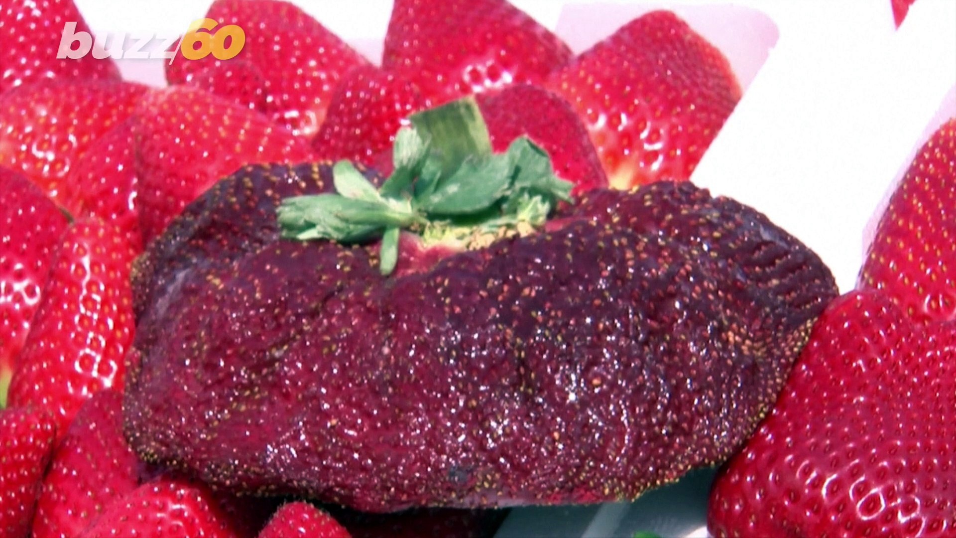 World Record Biggest Strawberry FE971/FE971: An Overview Of The US And