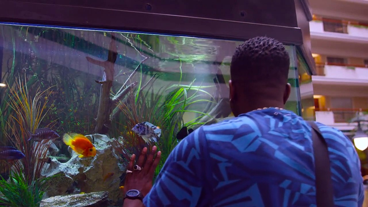 Jamal Edwards MBE founder of SBTV talks motivation - video Dailymotion