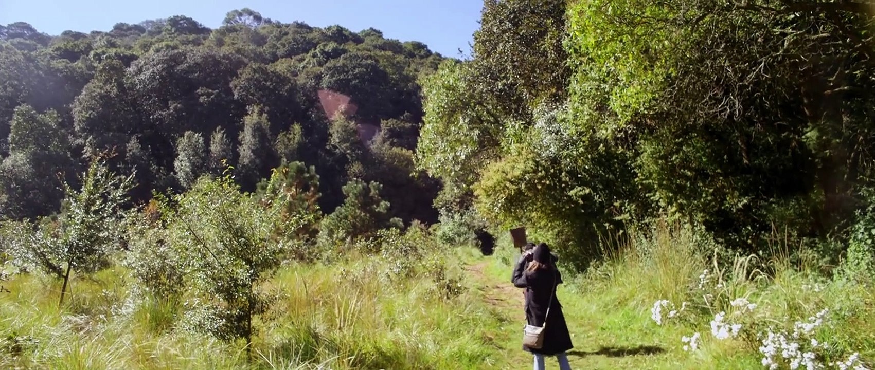 'Aniela'- Tráiler oficial - Vídeo Dailymotion