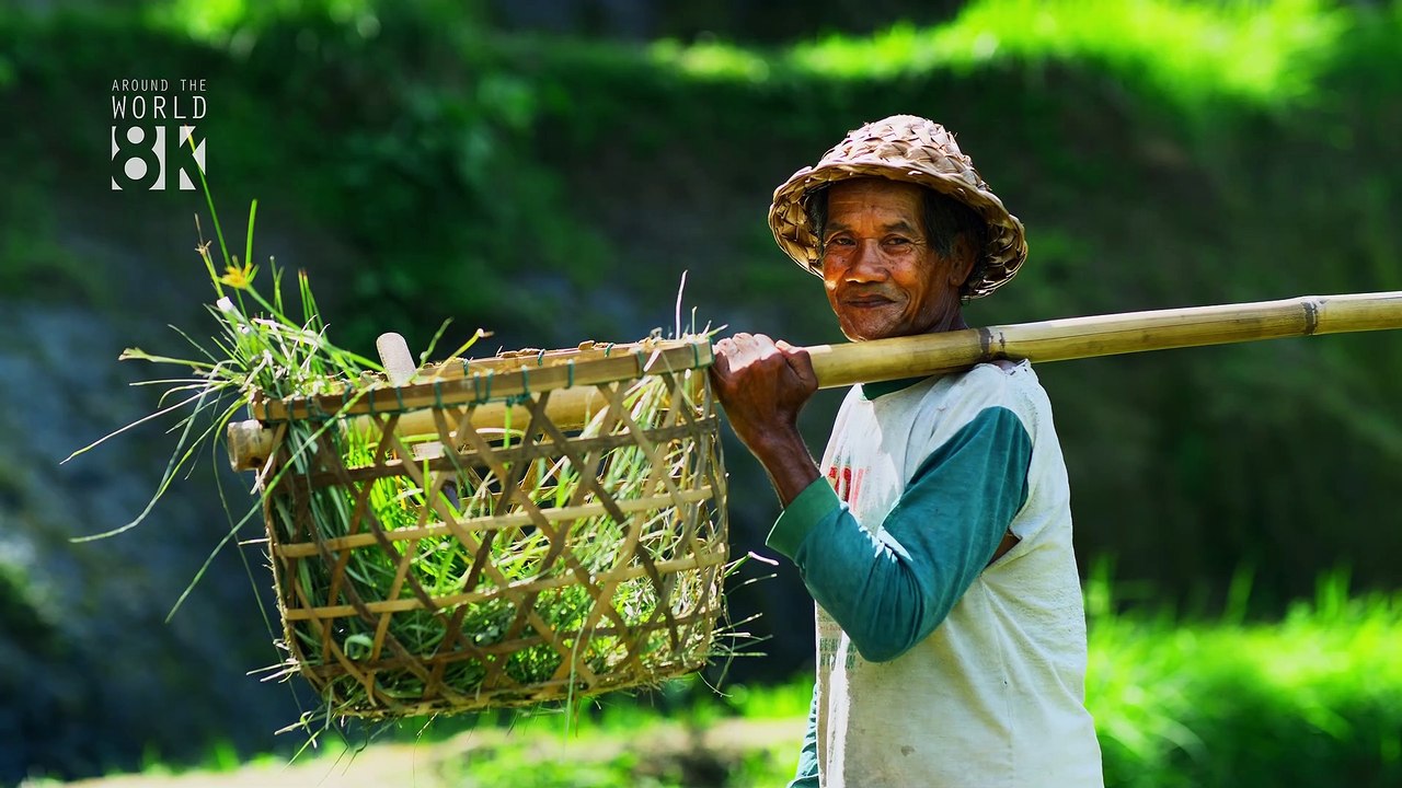 Bali - Real 8K HDR - video Dailymotion