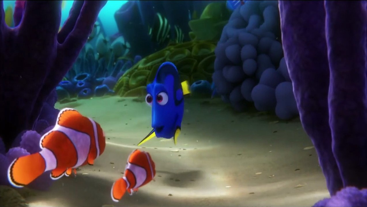 Procurando Dory Clipe (4) Original - Jóia de Morro Bay, Califórnia ...